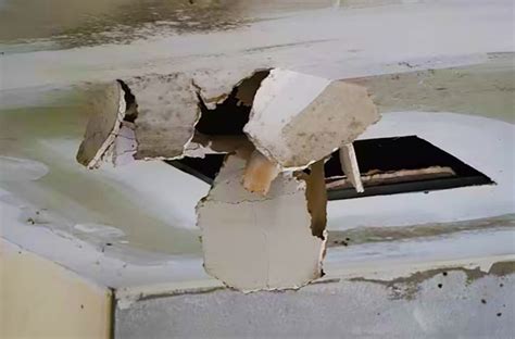 Understanding Scuttle Attics A Complete Guide For Homeowners