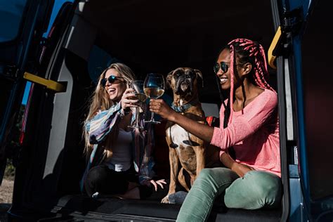 여름 방학 동안 캠핑 밴에서 와인으로 응원하는 다인종 사람들 친구와 함께 도로 여행 중에 재미를 아프리카 소녀에 집중 개에 대한 스톡 사진 및 기타 이미지 Istock