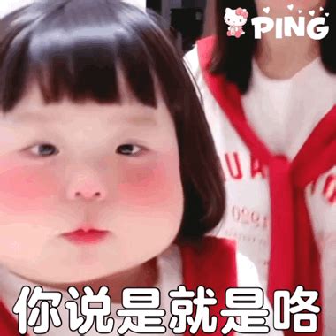 丸子妹表情包 作者很久没有放晴 堆糖美图壁纸兴趣社区