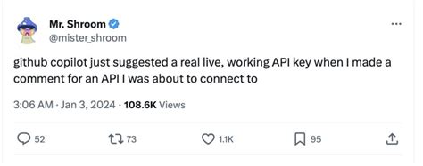 How Lasso For Code Assistants Can Help You Protect Your Data Lasso