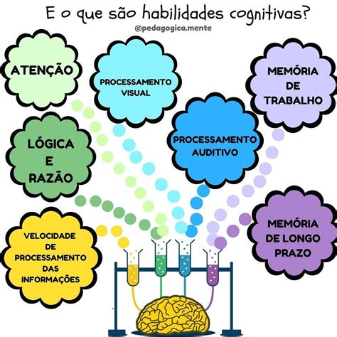 Funções Executivas Quais São Revoeduca