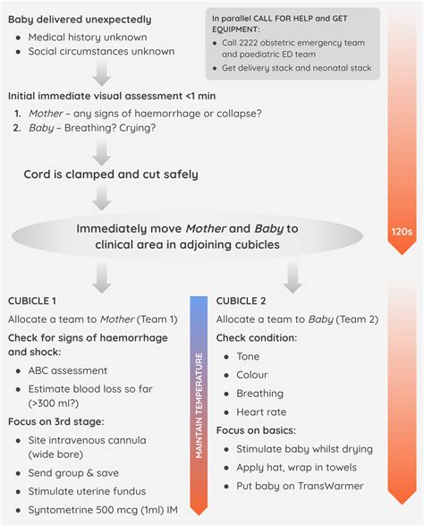 Resus Drills Unexpected Delivery — Em3