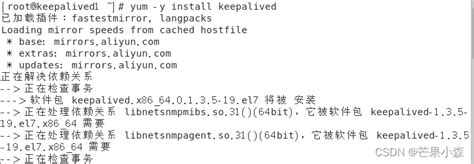 Keepalivedlvs（dr）架构keepalived架构 Csdn博客