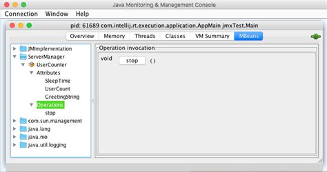 Java Language Tutorial Simple Example With Platform Mbean Server