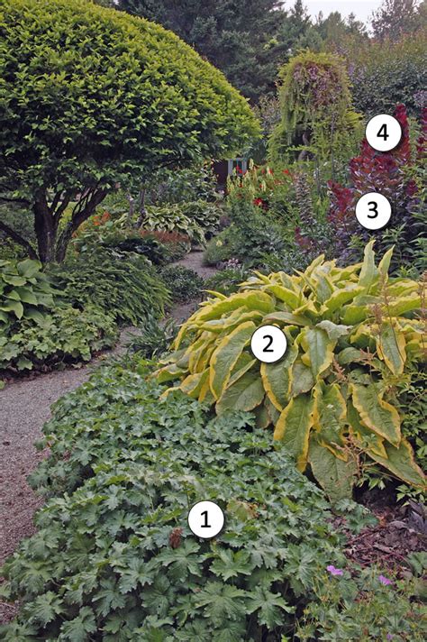 Цветни комбинации с листата на растенията Page 14 Форум