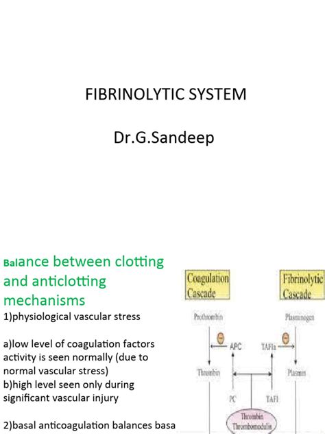 Fibrinolytic System Lymphatic Systemdr Sandeep Pdf Lymphatic System Lymph