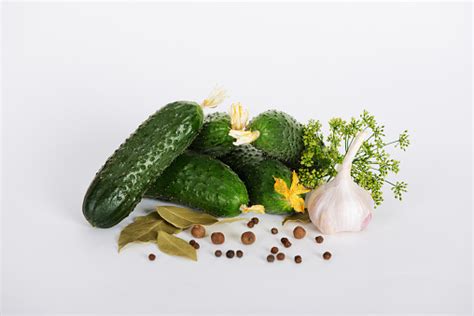 노란 꽃 마늘 베이 리프 딜 향신료를 흰색 배경에 새하얀 오이 0명에 대한 스톡 사진 및 기타 이미지 0명 개념 개념과 주제 Istock