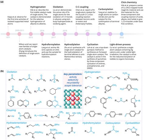 Single‐atom Catalysis In Organic Synthesis Saptal 2023 Angewandte