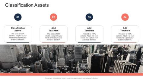 Asset Classification Powerpoint Presentation And Slides Ppt Example Slideteam