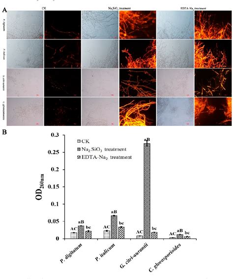 Figure 1 From The Gras Salts Of Na2sio3 And Edta Na2 Control Citrus