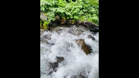 تصاویر زیبای پغمان Youtube