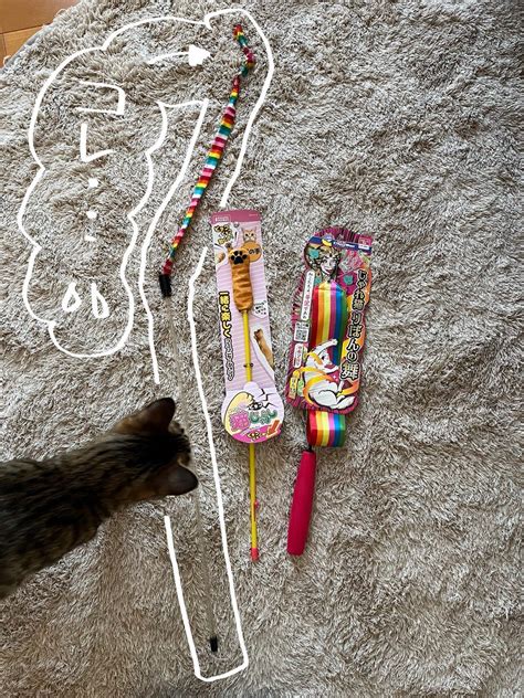 世界猫の日 だそうです🐈 紐状の猫じゃらしが短くなってきたので新しいのを買ってきました。 同じのなかった～💦 」山野りんりん🐈🍦🍚猫や漫画