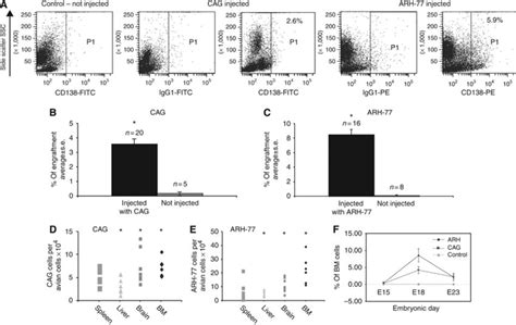 Engraftment Of Myeloma Cells In Embryonic Turkey Tissues Cell