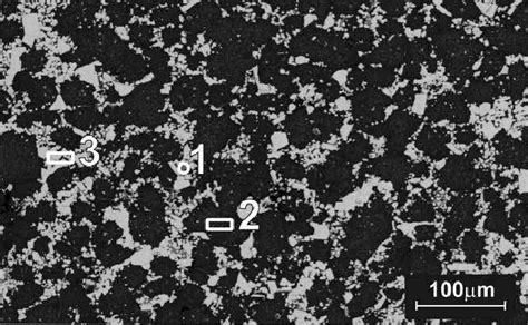 Sem Bse Micrograph Of The Test Specimens With 10 Content Of Wc In