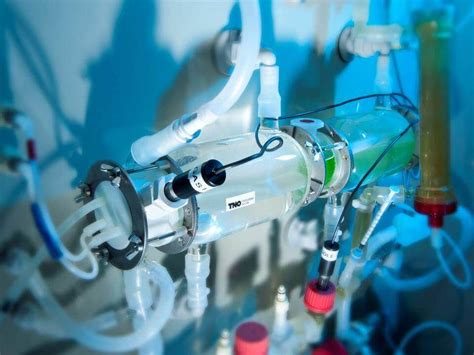 What An Artificial Eating Machine Can Teach Us About Medications Pfizer