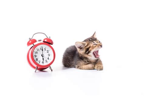 Power Automate Formatdatetime Function Examples