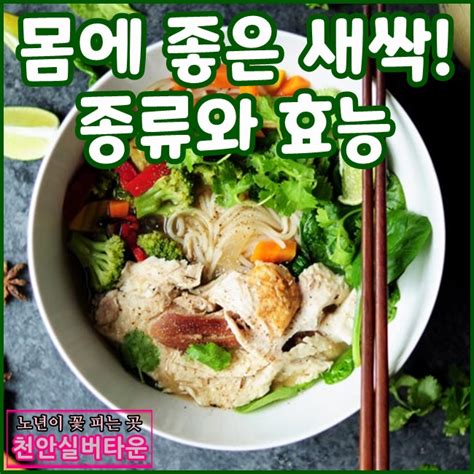 [천안고급실버타운] 몸에 좋은 새싹 종류와 효능을 알아보자 네이버 블로그