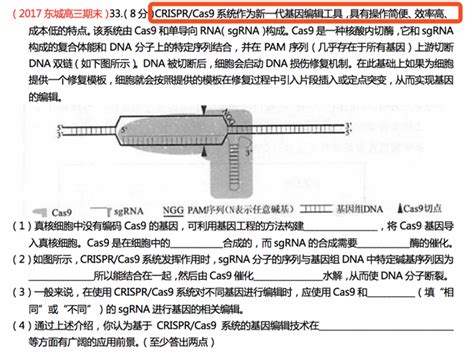 别说基因编辑技术太深奥，其中原理高中生都知道！ 搜狐大视野 搜狐新闻