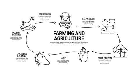 농업 및 농업 관련 프로세스 인포그래픽 템플릿 프로세스 타임라인 차트 아이콘이 있는 워크플로 레이아웃 가금류에 대한 스톡 벡터