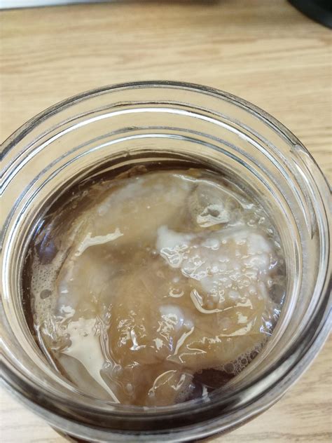 Dead But Rose Again Gave This Azalea To My Mother In Law She Though