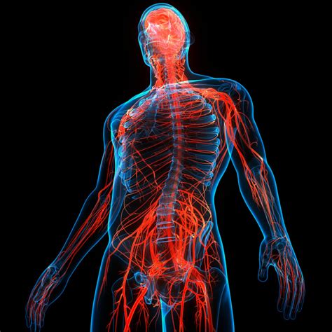 How Do Peripheral Stimulator Implants Work