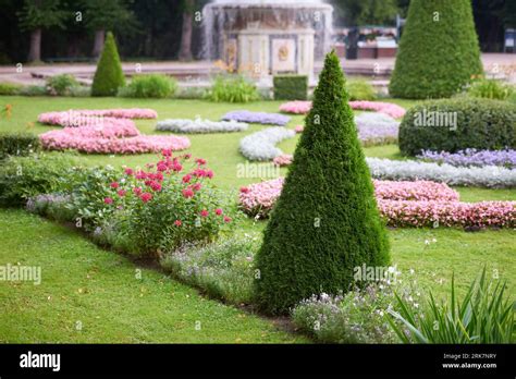 Trimmed Thuja Tree Triangle Shape At Flower Bed In Formal Garden Stock Photo Alamy