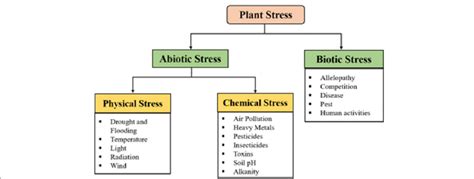 Different Kinds Of Plant Stresses Download Scientific Diagram