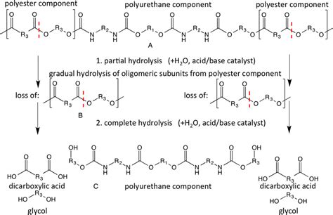 Example Of A Polyesterurethane Polymer A Showing The Polyester And