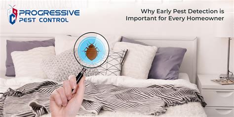 Why Early Pest Detection Is Important For Every Homeowner