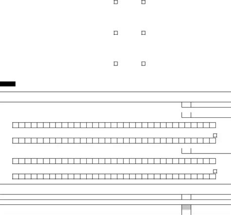 Blank Irs 8888 Pdf Form ️