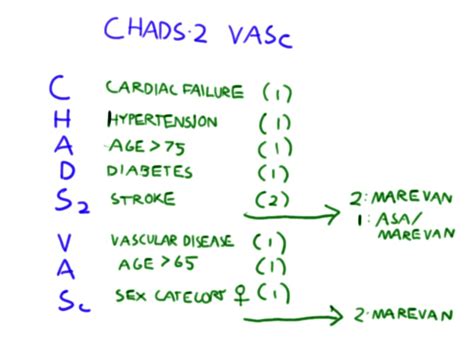 Medisiner Medrep 11 2 1 Chads 2