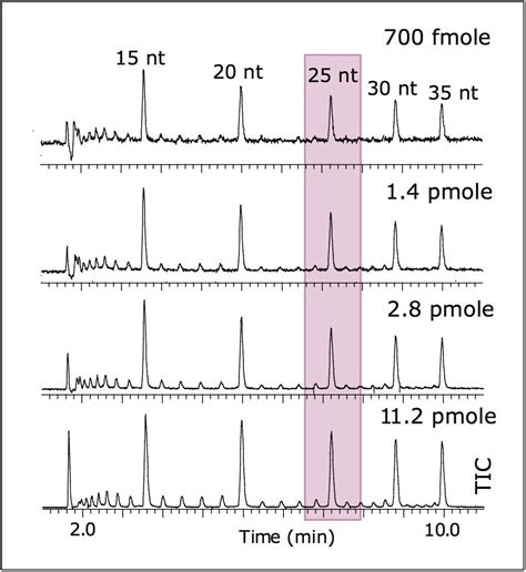 Uplc Uv Ms Analysis Of Oligonucleotides Waters