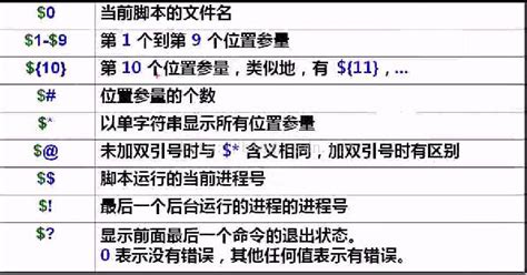 Shell 编程基础 语法快速入门 Csdn博客