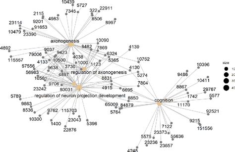 Figure 5 From Applying Biclustering Technique And Gene Ontology