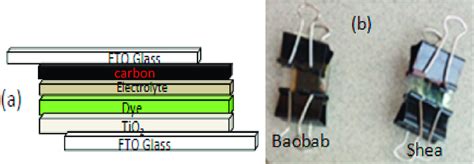 A Schematic Diagram Of Dssc And B Fabricated Dsscs With Baobab And Download Scientific