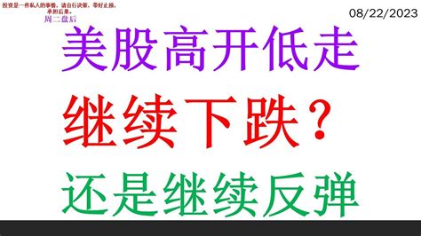 美股高开低走 继续下跌？还是继续反弹 Youtube