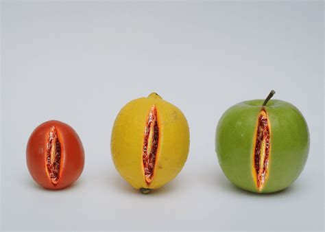 Awkward Sex Questions Answered By A Sex Therapist Honeycombers