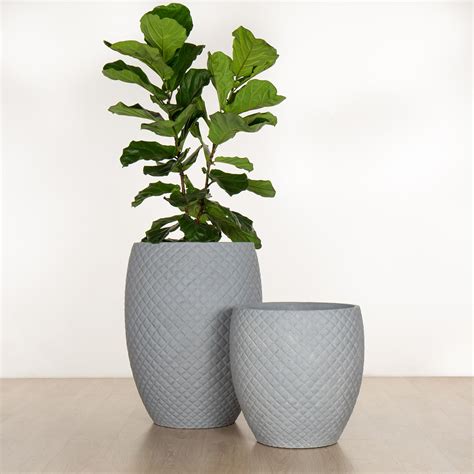 Concrete And Texture Gaddys Indoor Plant Hire