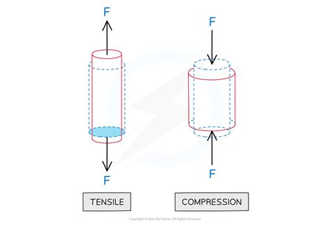Stress Strain And The Young Modulus Edexcel International A Level Physics Revision Notes 2018