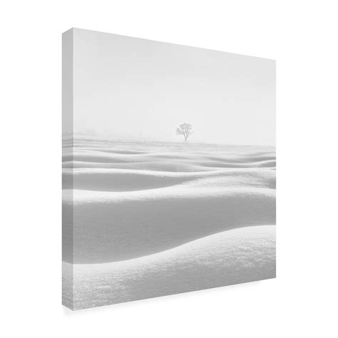 Trademark Fine Art Modern And Contemporary Wave On Canvas By Mostafa Nodeh Print Wayfair