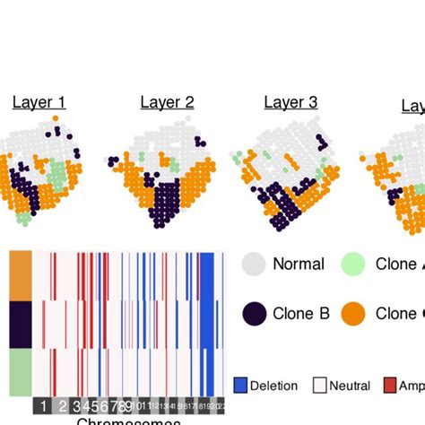 A Overview Of Starch The Inputs To Starch Are A Spatial Download Scientific Diagram