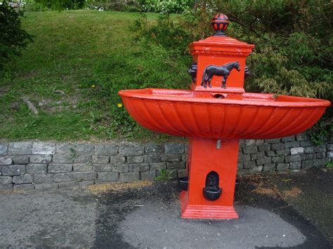 Bowring Park A Stroll Through Shadows And Light