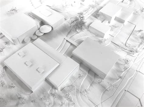 To Tree Or Not To Tree Transversal Architectes Lausanne Architecture Atelier