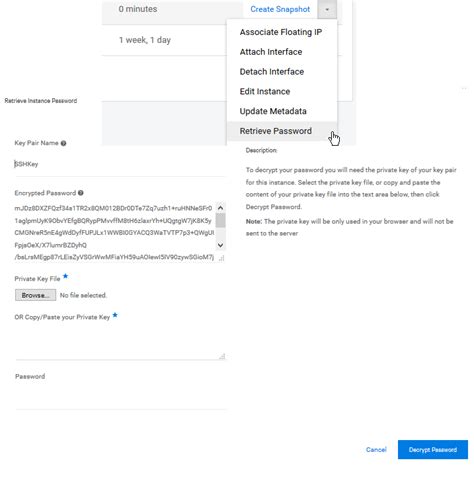 OpenStack Nova Get Password Set Password And Post Encrypted Password
