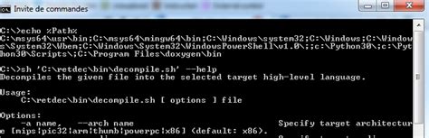 Ida Plugin Refuses To Decompile Decompilation Is Not Properly