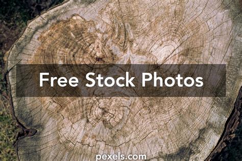 Geophysical Logging Photos Download The Best Free Geophysical Logging