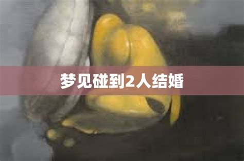 梦见碰到2人结婚 命理解梦