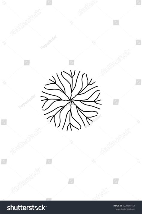 Architectural Illustration Tree Landscape Design Layout Stock Vector Royalty Free 1030341454