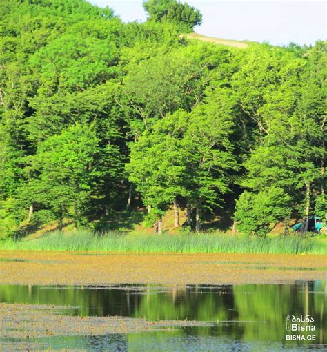 ბისნა — ტურები საქართველოში