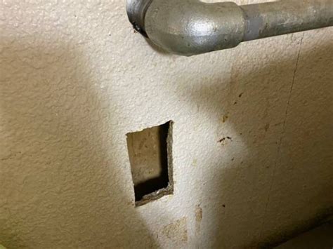 京都市中京区 ネズミ駆除 飲食店 京都の害虫駆除・ゴキブリ駆除・ネズミ駆除・クモ対策駆除 京都の害虫駆除 Com